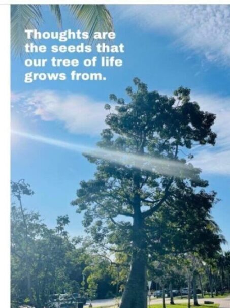 Tree of Life: Cultivate Joy, Peace & Spiritual Fruit